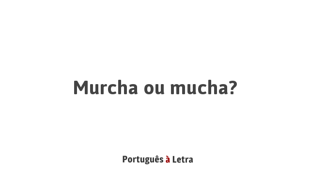Murcha ou mucha? | Português à Letra